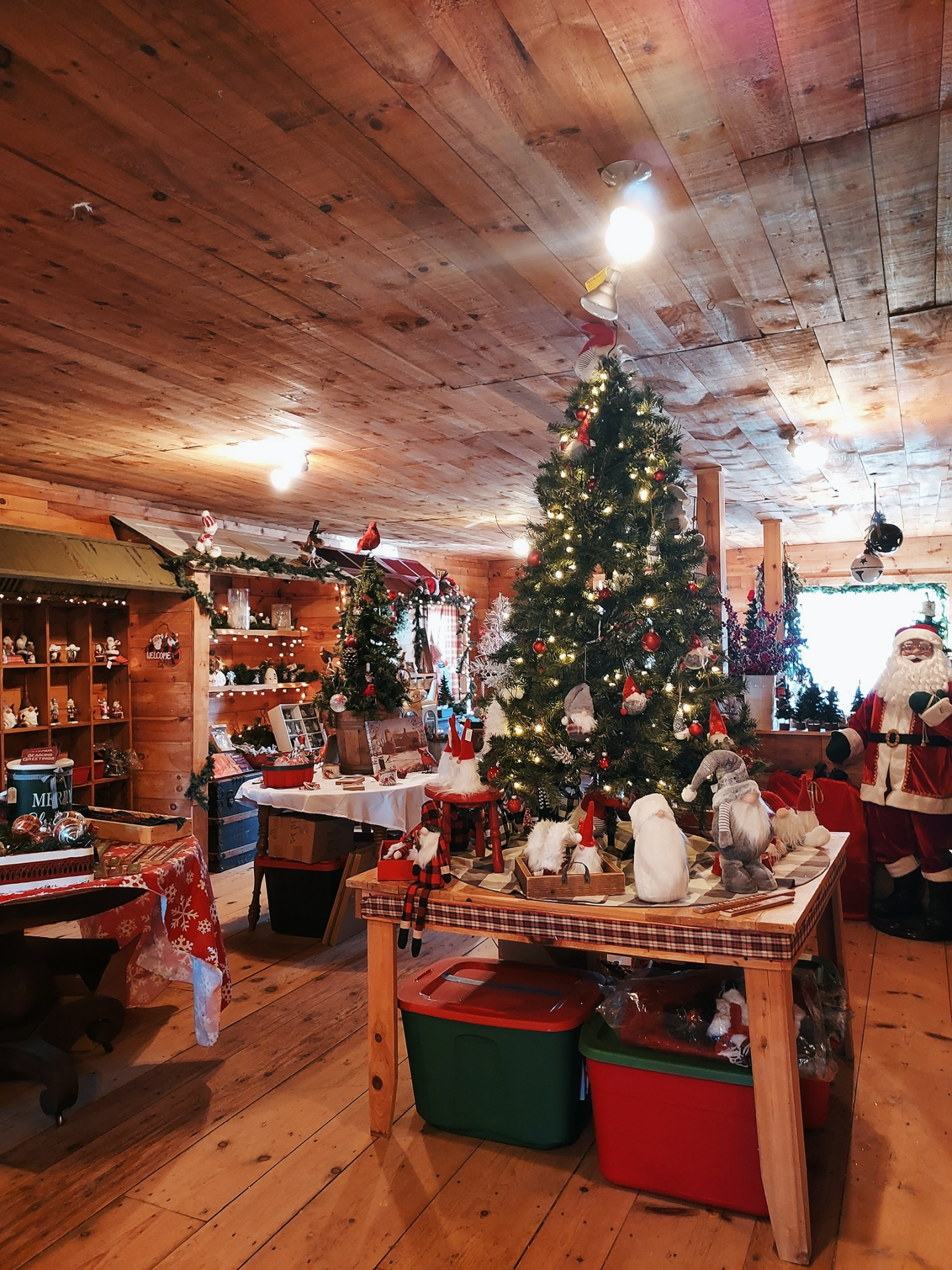 Local Loves: The Christmas Barn – Coffee & Chiffon