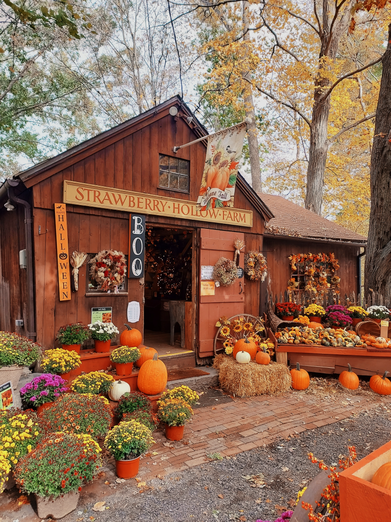 Local Loves: Strawberry Hollow Farm – Coffee & Chiffon